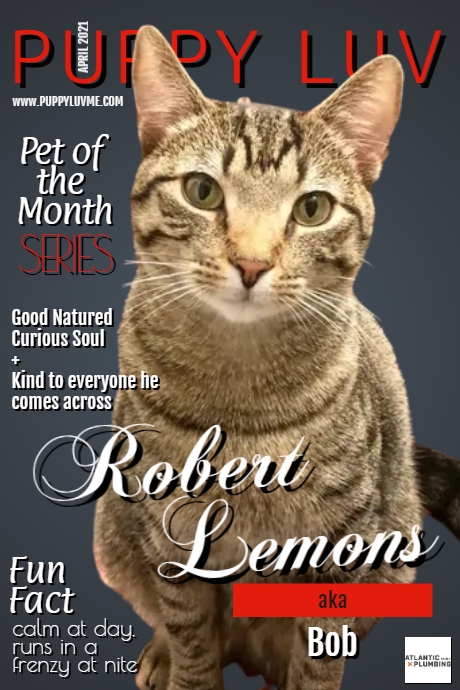 Copy of Robert Lemons - AP Pet of the Month (April) | PosterMyWall