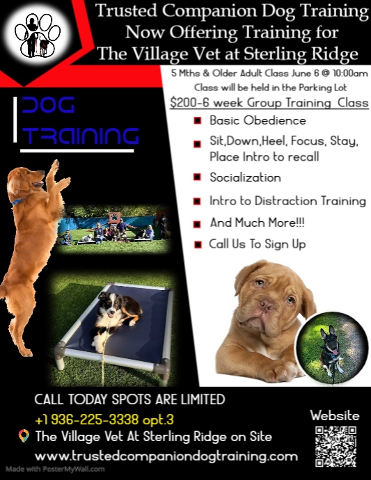 The Village Vet | PosterMyWall