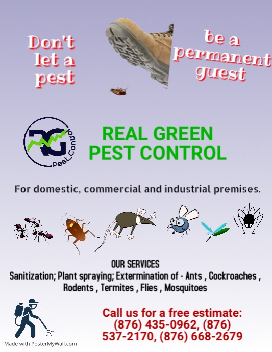 Copy of Copy of Pest Control Poster | PosterMyWall