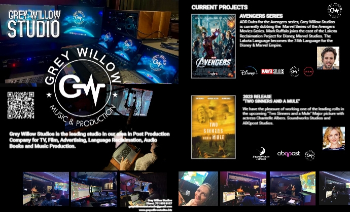 R2 ADR Grey Willow Studios | PosterMyWall