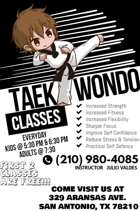 TKD BOY FLYER1 | PosterMyWall