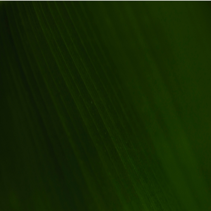 Plantilla de Abstract green background design flyer | PosterMyWall