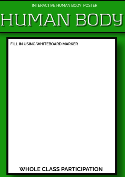 Copy of A2 (42cm x 59.4cm) INTERACTIVE HUMAN BODY 1 (1) | PosterMyWall