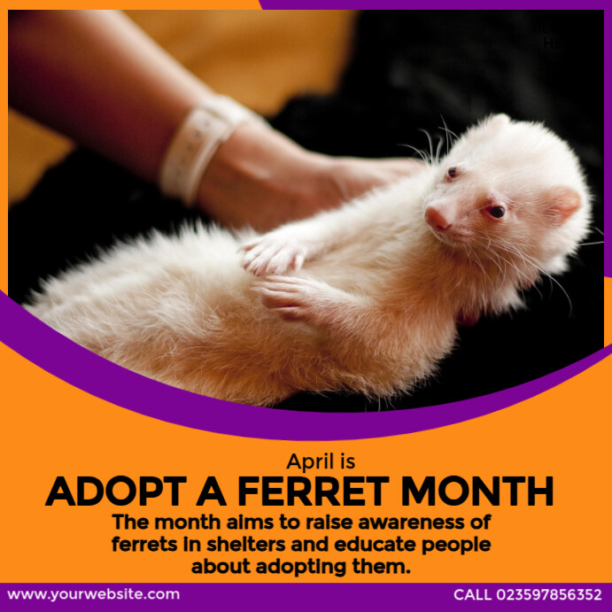 Copy of Adopt a Ferret Month | PosterMyWall