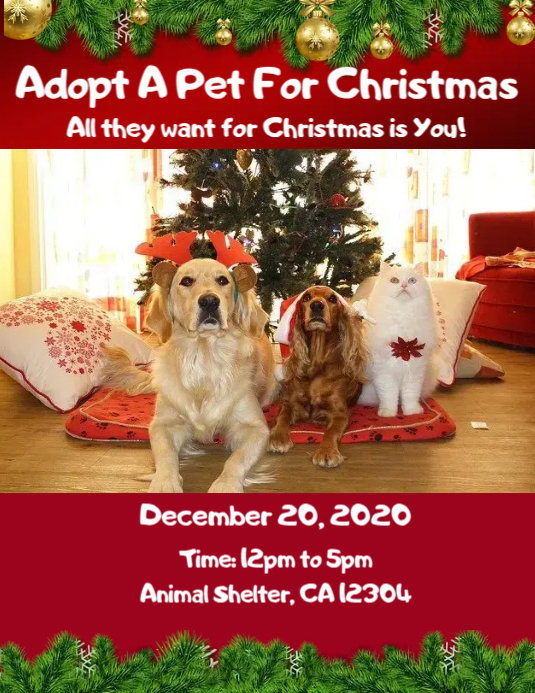 Adopt A Pet For Christmas Template | PosterMyWall