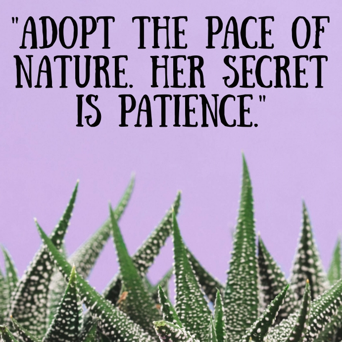 Adopt the pace of nature quote template | PosterMyWall
