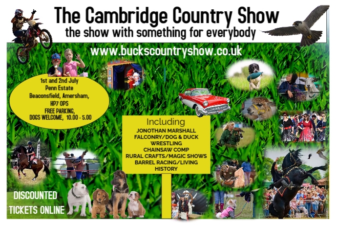 solopress bucks | PosterMyWall