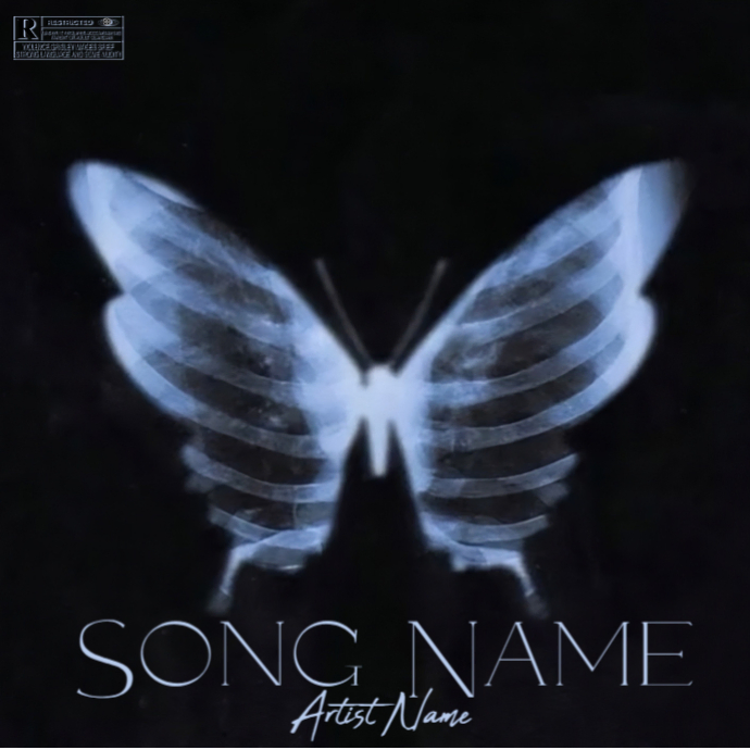 Album cover: a butterfly with humanly chest Template | PosterMyWall