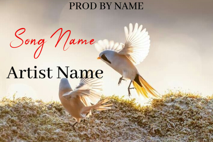 Album Cover , Artist name Poster Template | PosterMyWall