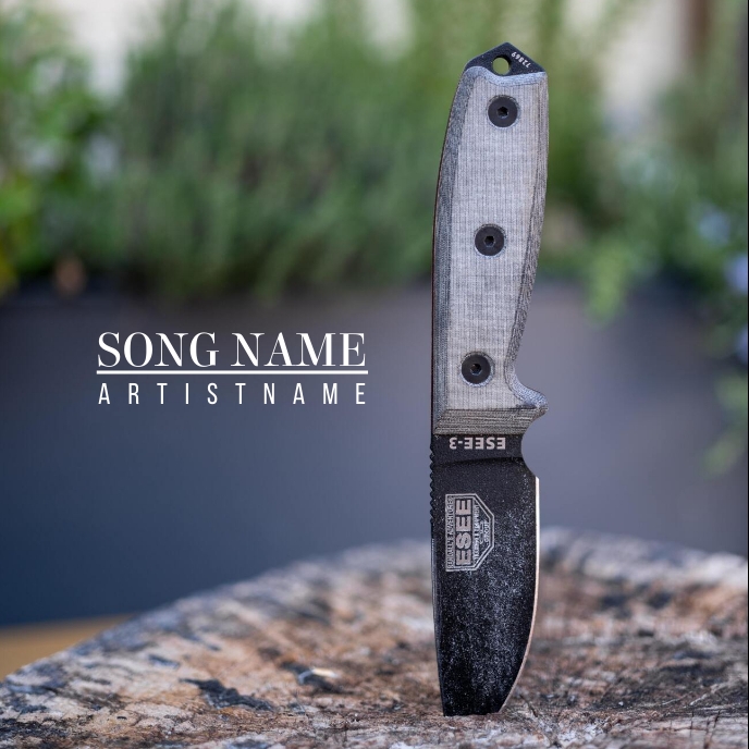 ALBUM COVER (279) Template | PosterMyWall