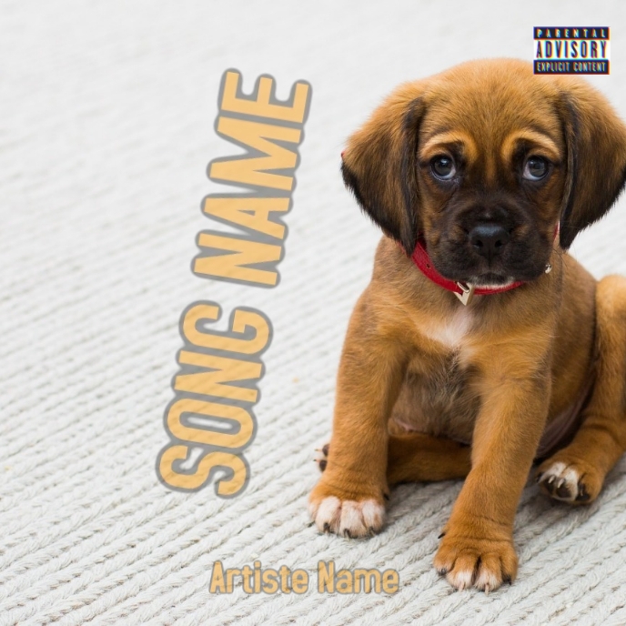 Album cover (29) Template | PosterMyWall