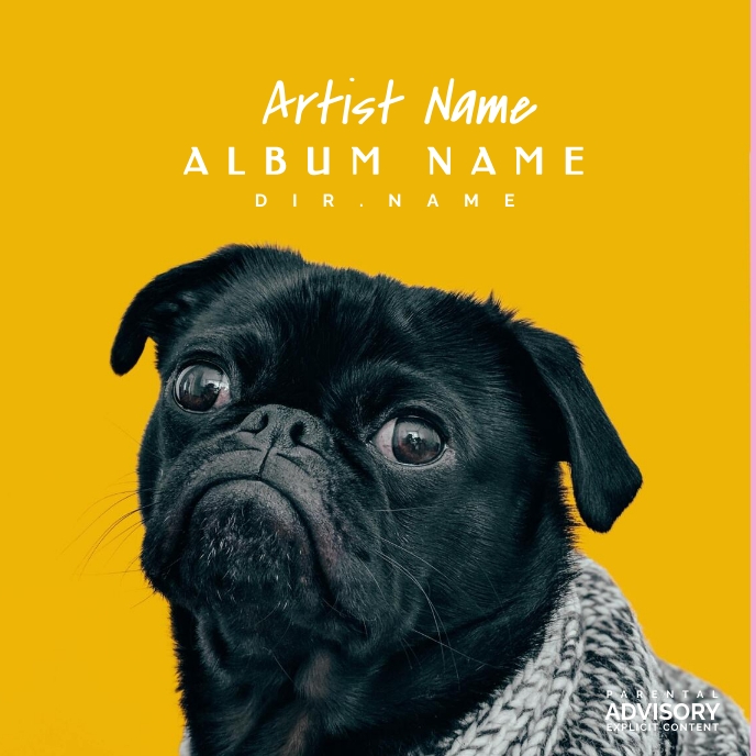 Album cover (29) Template | PosterMyWall
