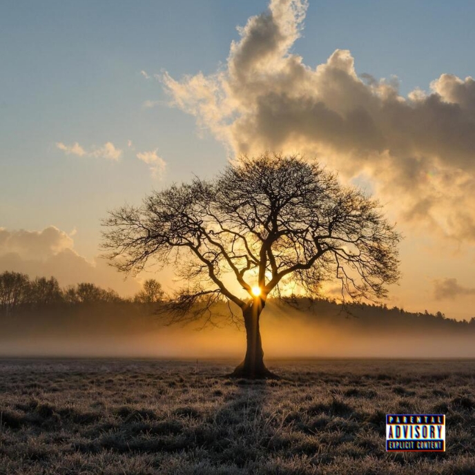 Copy of Album cover (46) | PosterMyWall