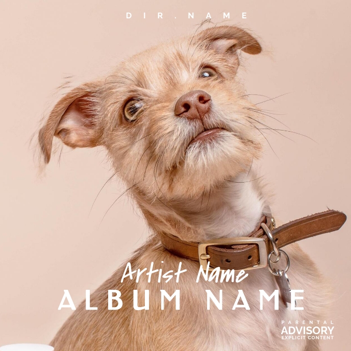 Copy of Album cover (64) | PosterMyWall