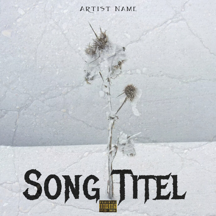 Album Cover Art Template | PosterMyWall