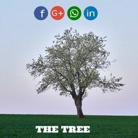 Autumn Album Cover Template | PosterMyWall