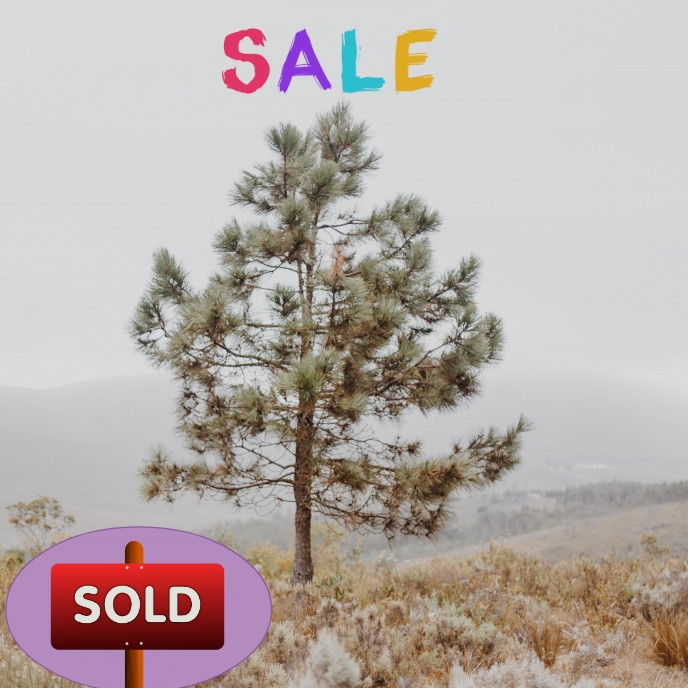 tree and snow Template | PosterMyWall