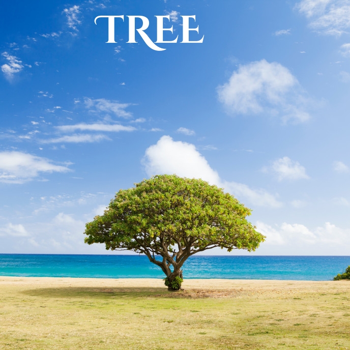 the tree and sky Template | PosterMyWall