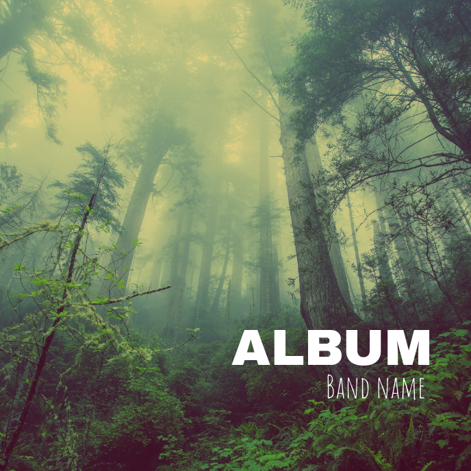 Album cover flyer template | PosterMyWall