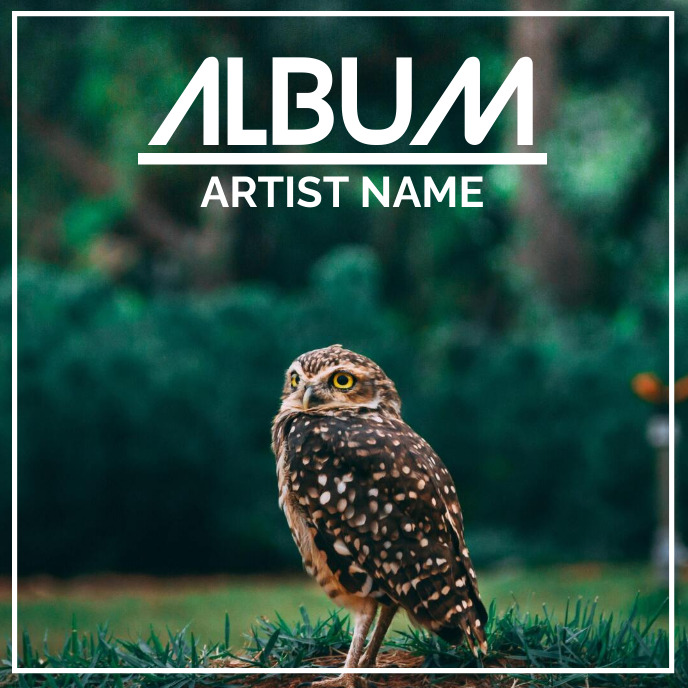Copy of Album cover of a bird | PosterMyWall