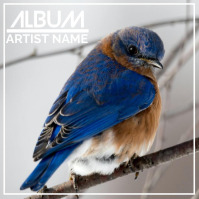 Album cover of a bird Template | PosterMyWall