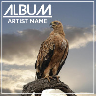 Album cover of a bird Template | PosterMyWall
