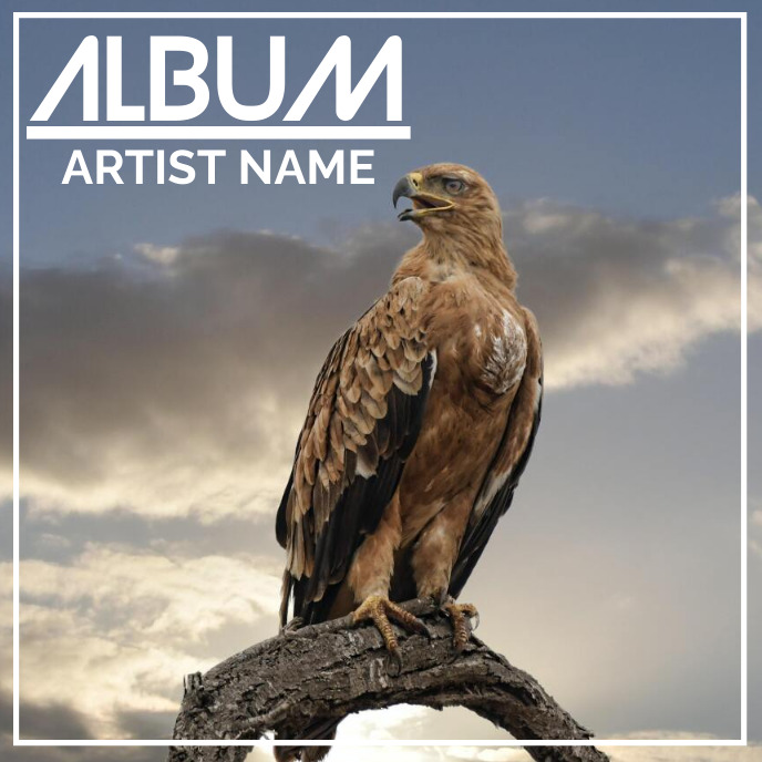 Album cover of bird Template | PosterMyWall