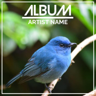 Album cover of a bird Template | PosterMyWall