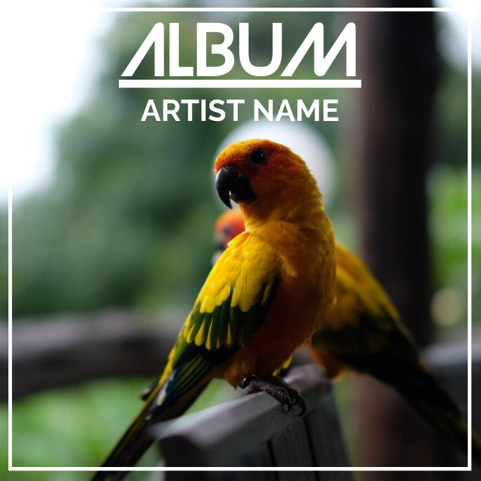 Album cover of birds Template | PosterMyWall