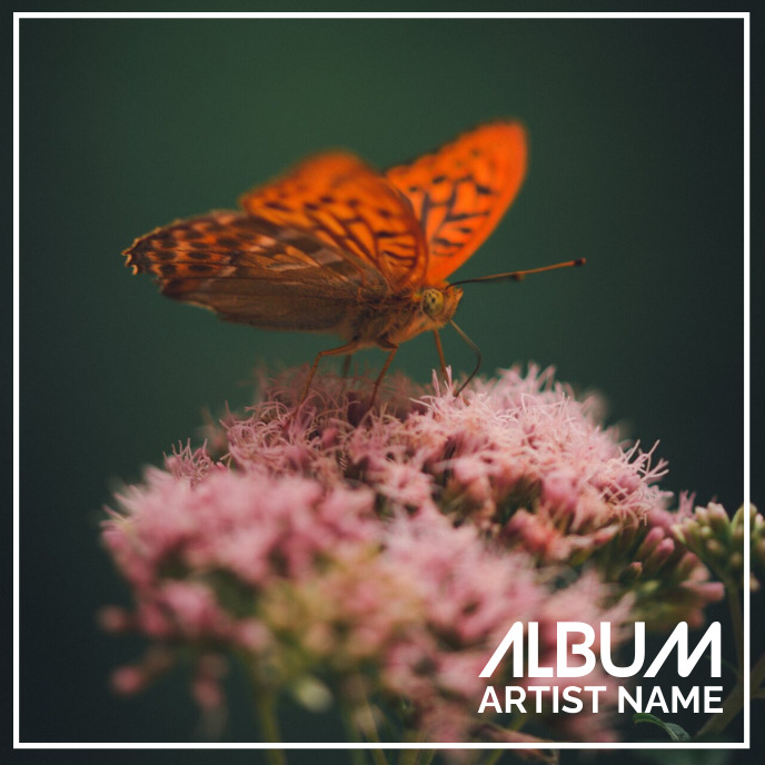 Album cover of butterfly Template | PosterMyWall