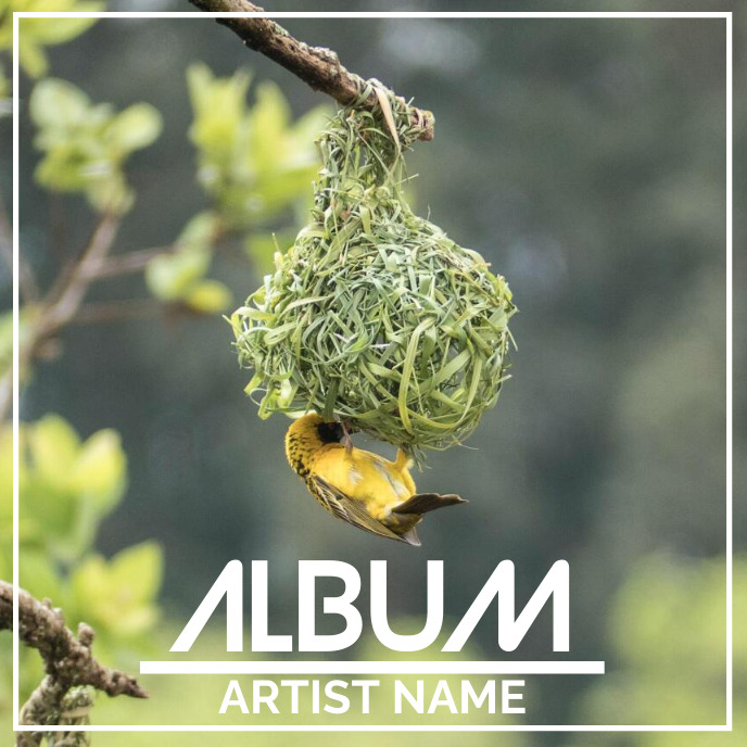 Album cover of weaver bird Template | PosterMyWall