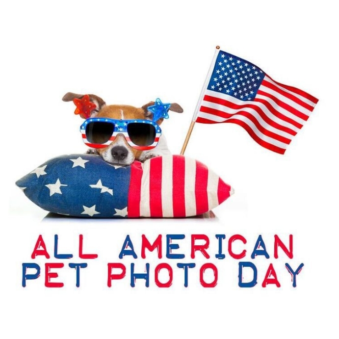 All American Pet Photo Day Template | PosterMyWall