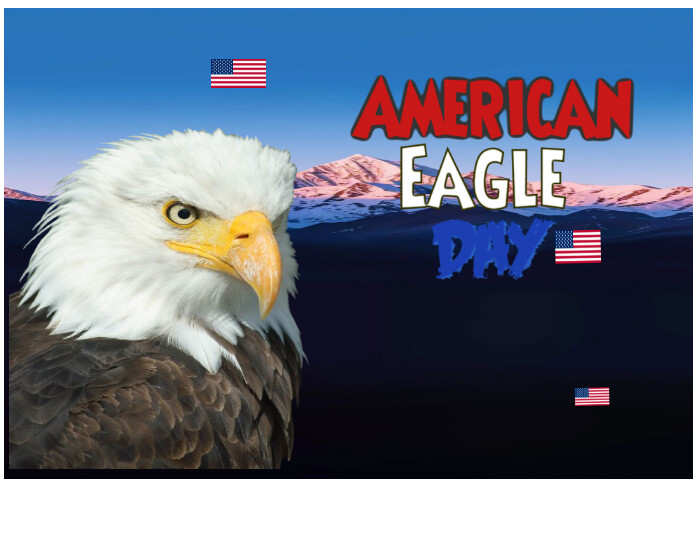 American eagle day Template | PosterMyWall
