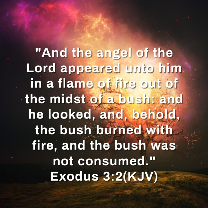 Copy of Angelic Ministration | PosterMyWall