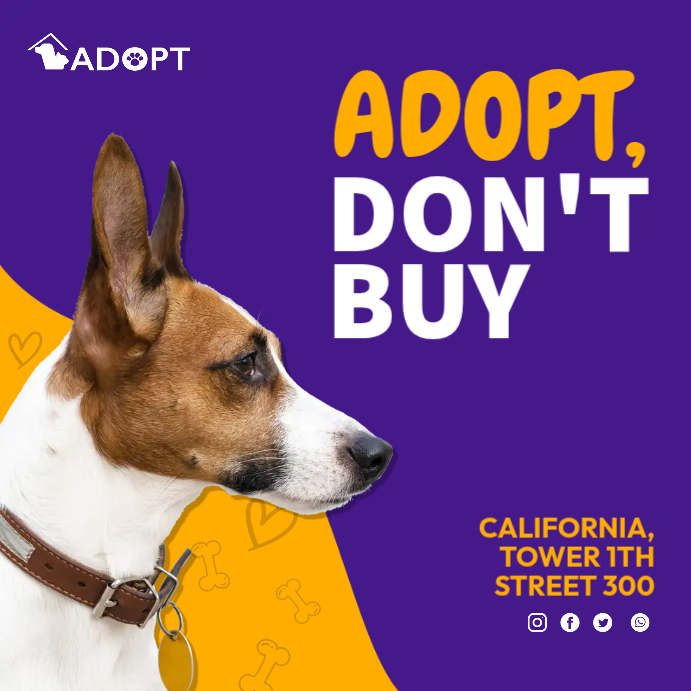 Copy of Animal Adoption Ads | PosterMyWall