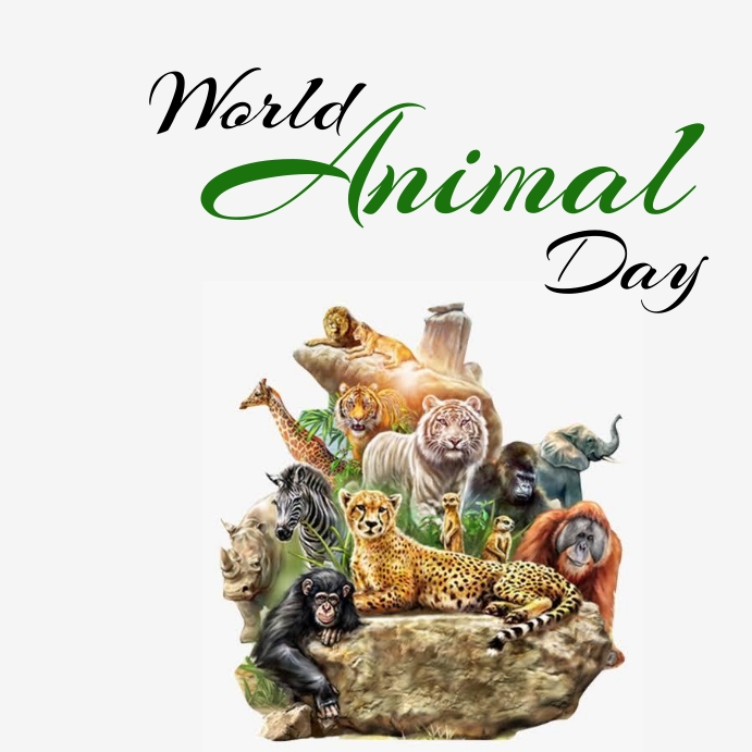 Animal Day Template | PosterMyWall