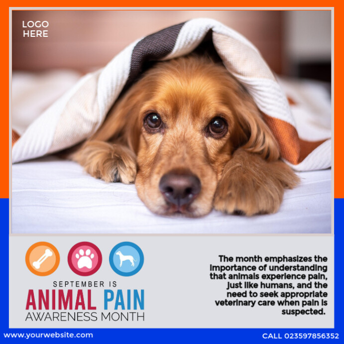 Animal Pain Awareness Month Template | PosterMyWall