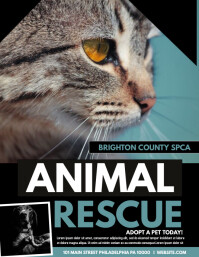 Animal Rescue Template | PosterMyWall