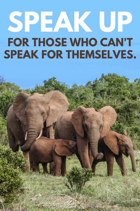 Animal Rights Poster Template | PosterMyWall