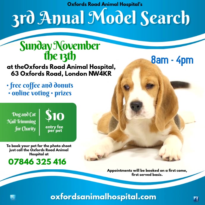 Copy of Anual Model Search | PosterMyWall