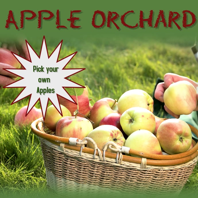 Copia de APPLE ORCHARD | PosterMyWall