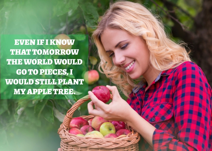 Girls Apple Tree Quote Five Senses Poetry For Kids Make And Takes