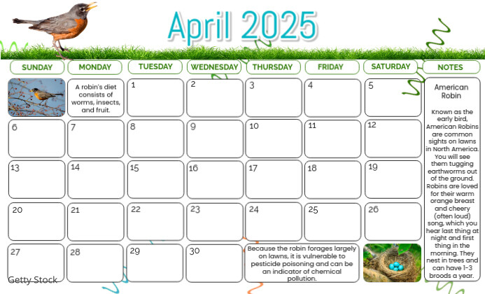 Copy of April 2025 Bird Calendar | PosterMyWall