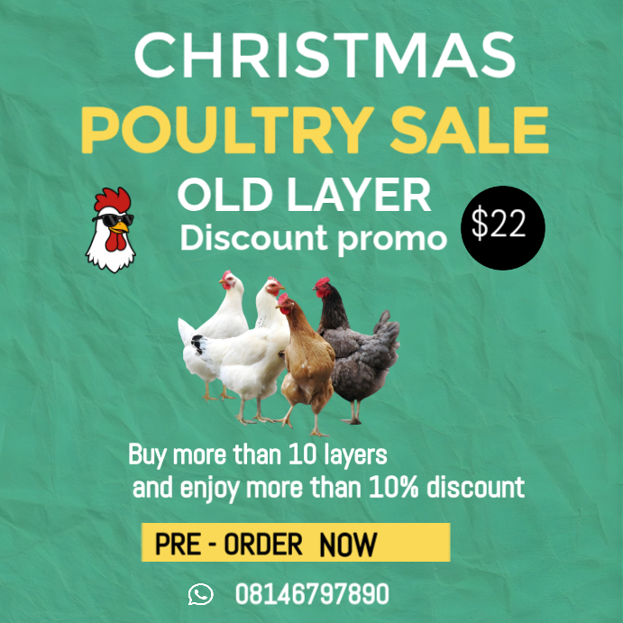 Copy of Aqua Modern & Minimal Christmas Chicken Sale Flyer Poultry Farm ...