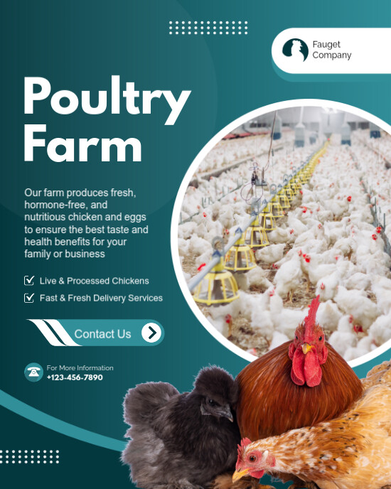 Aqua Modern & Minimal Poultry Farm Instagram Portrait Template ...