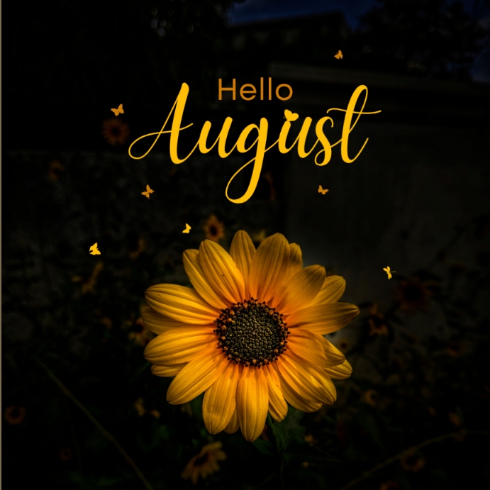 Copy of August illustration background | PosterMyWall