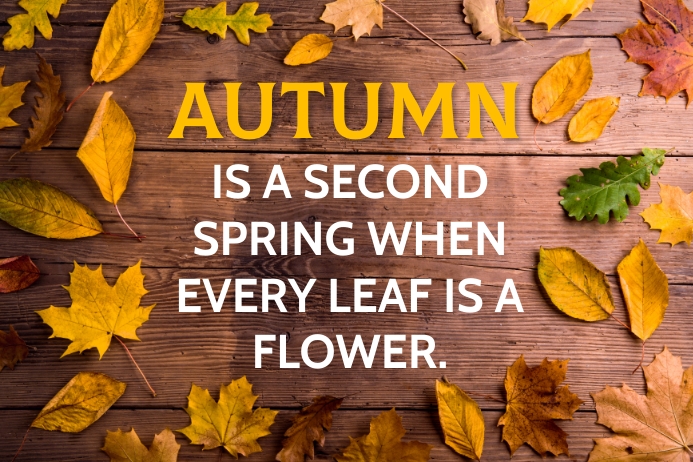 AUTUMN AND SPRING QUOTE TEMPLATE | PosterMyWall