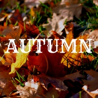 Autumn Template | PosterMyWall