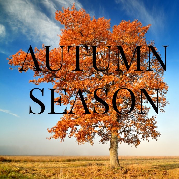 Autumn Template | PosterMyWall