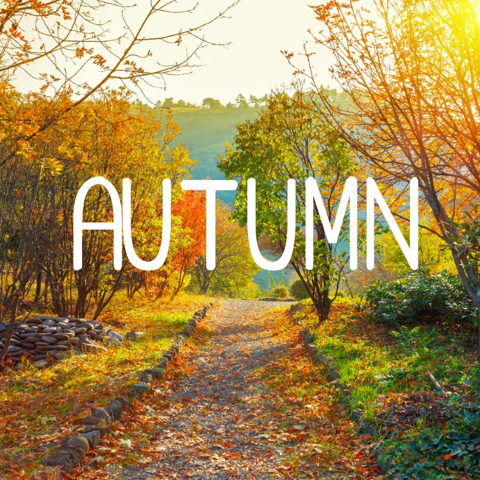 Autumn Template | PosterMyWall